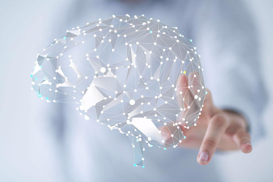 Neuroplastizität: Aktueller Forschungsstand und Anwendungen – icho systems